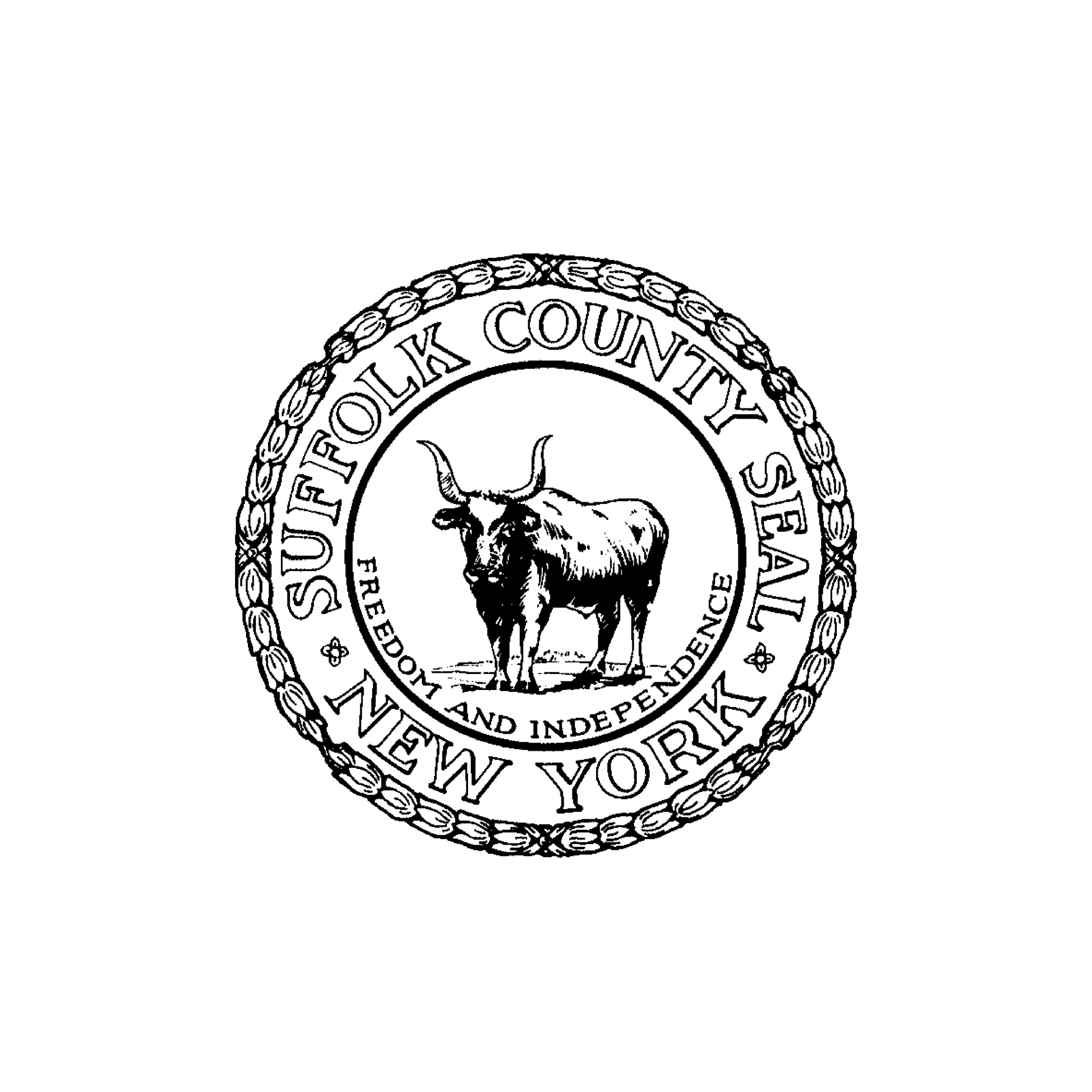 Community Housing Innovations | Housing & Support in NY